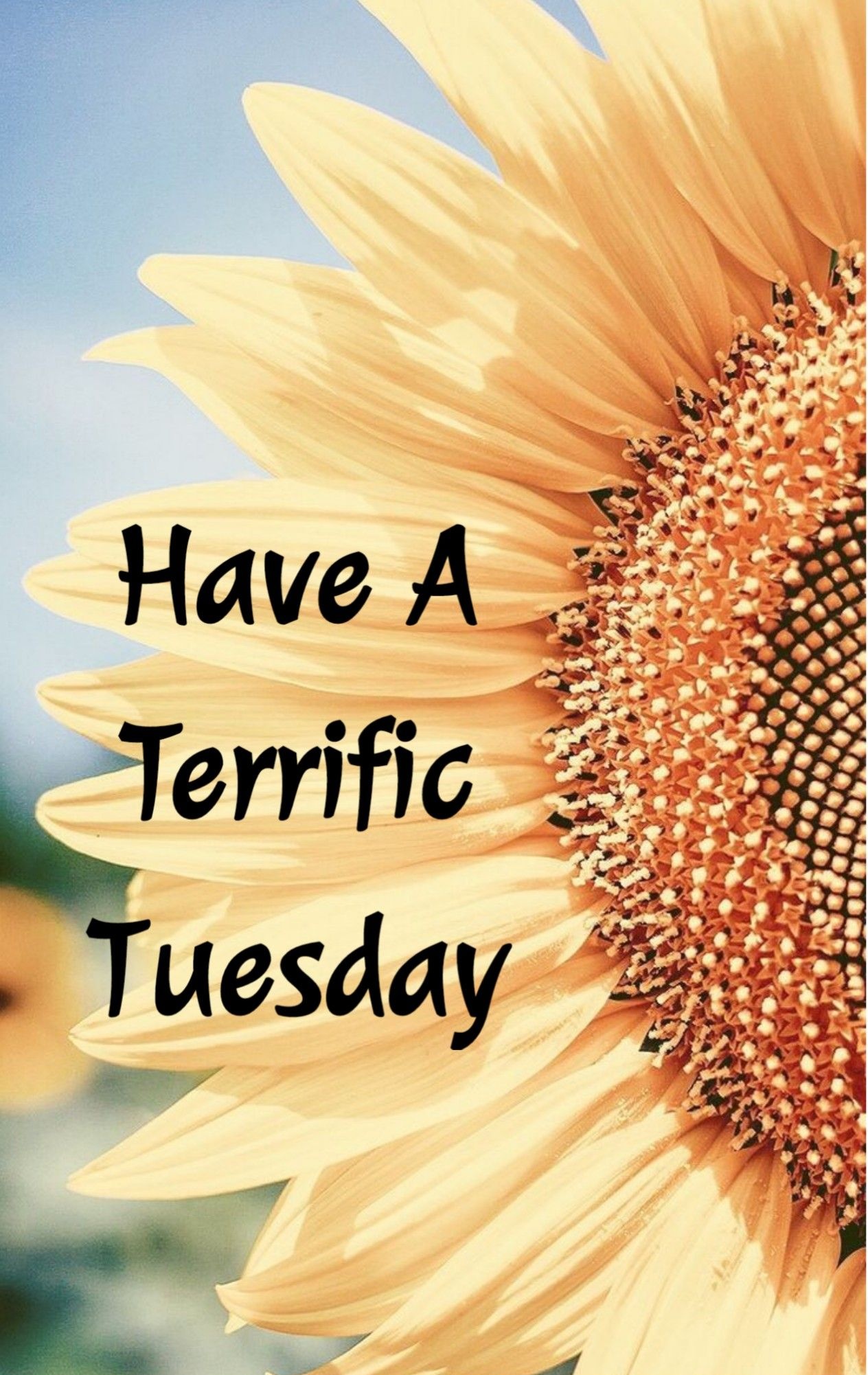 Stay Warm Good Morning Tuesday Good Morning, Keep Warm Free Animated