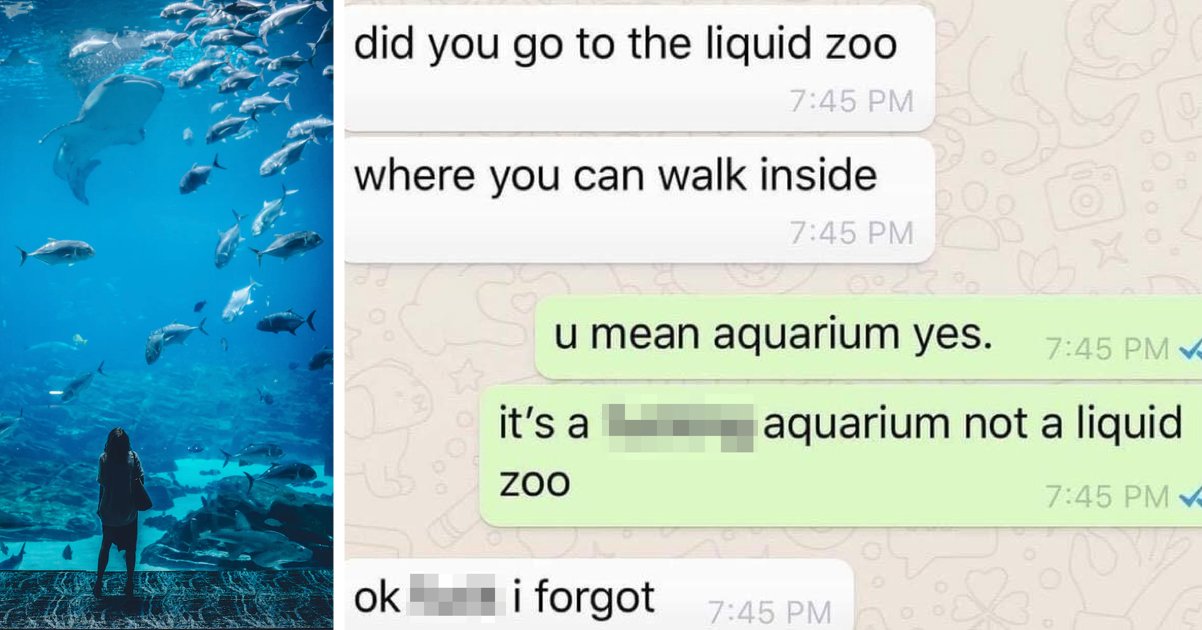 Liquid Zoo Memes