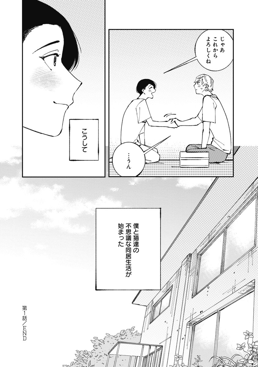 11/11)」echoの漫画