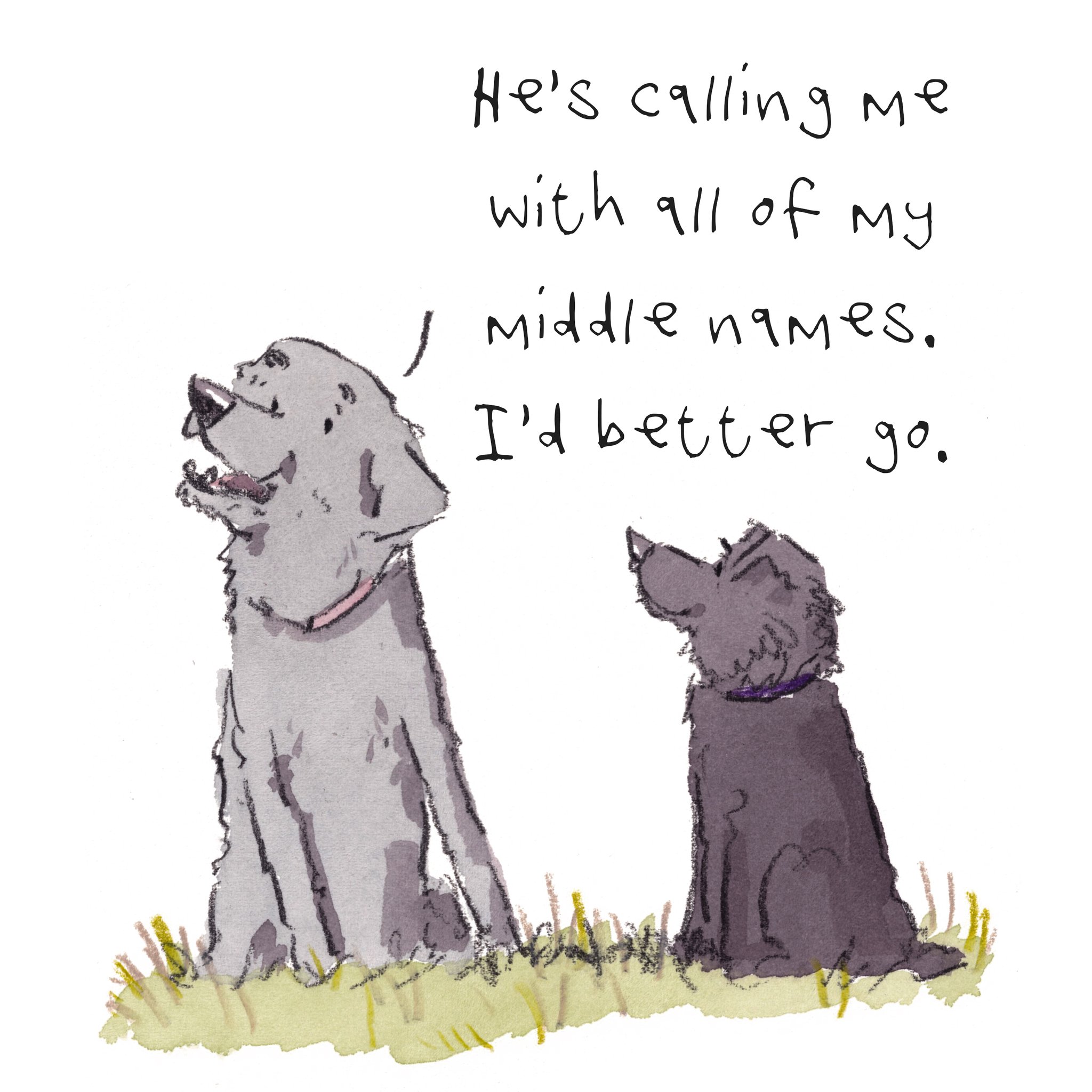 Medieval Pet Names, 46% OFF | www.pinnaxis.com