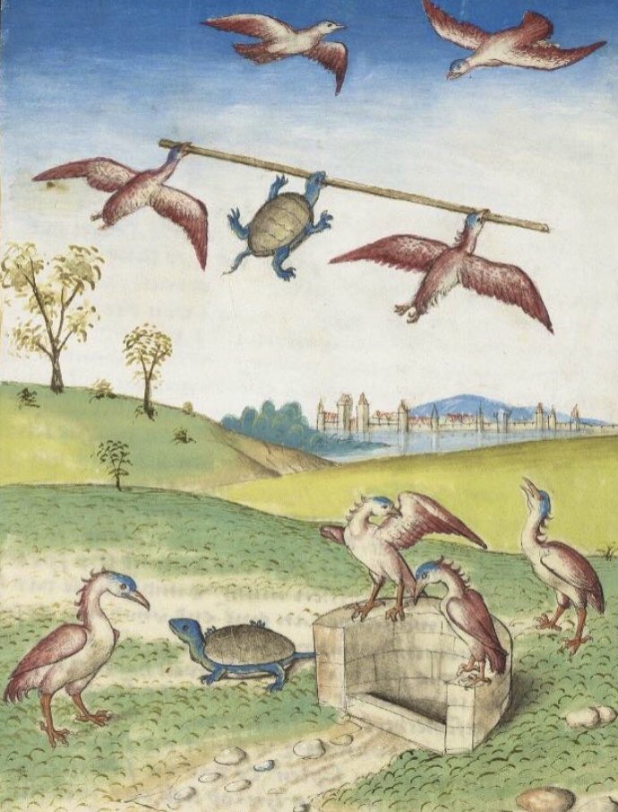 Medieval Tortoise Aspidochelone Wikipedia