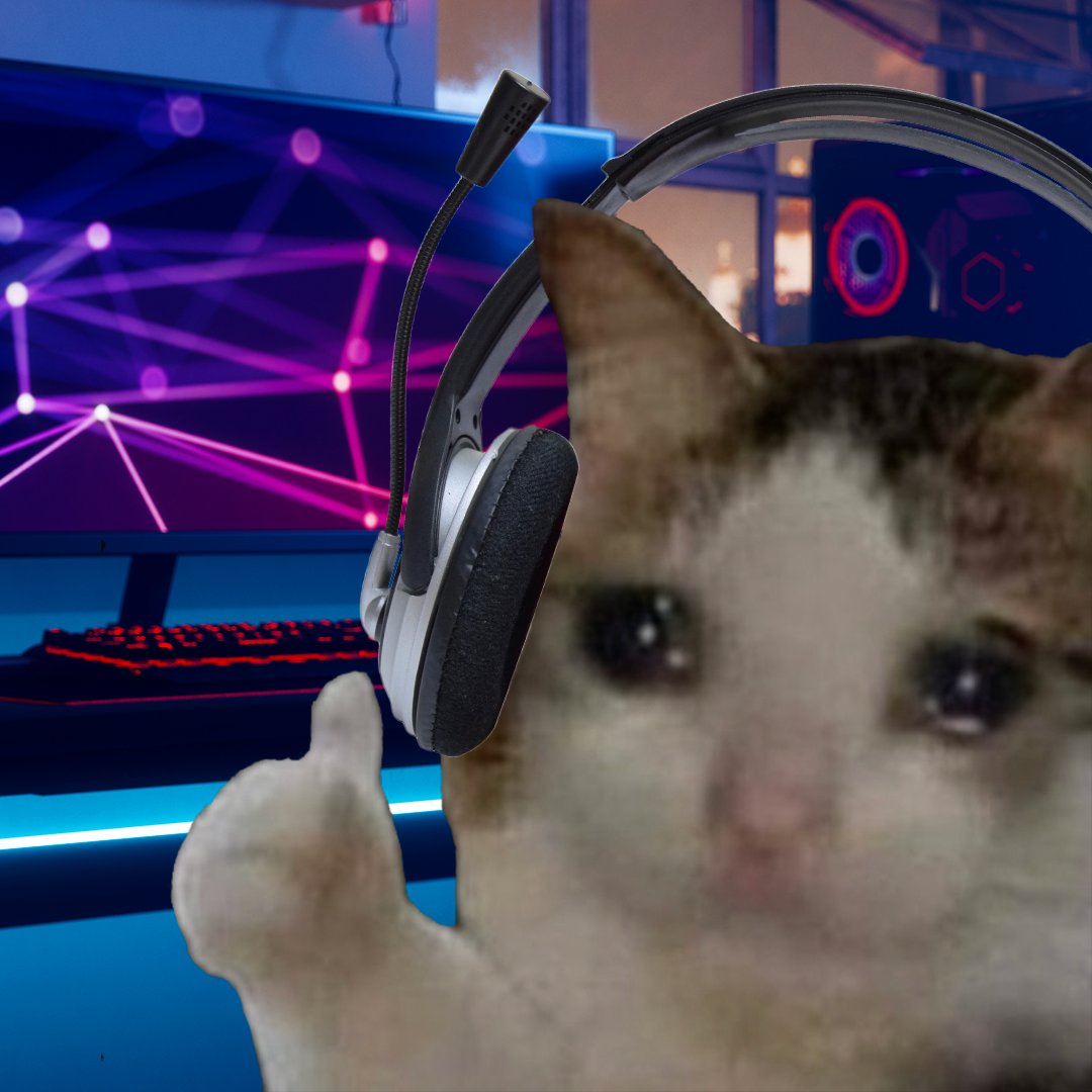 Cat With Headphones Gif