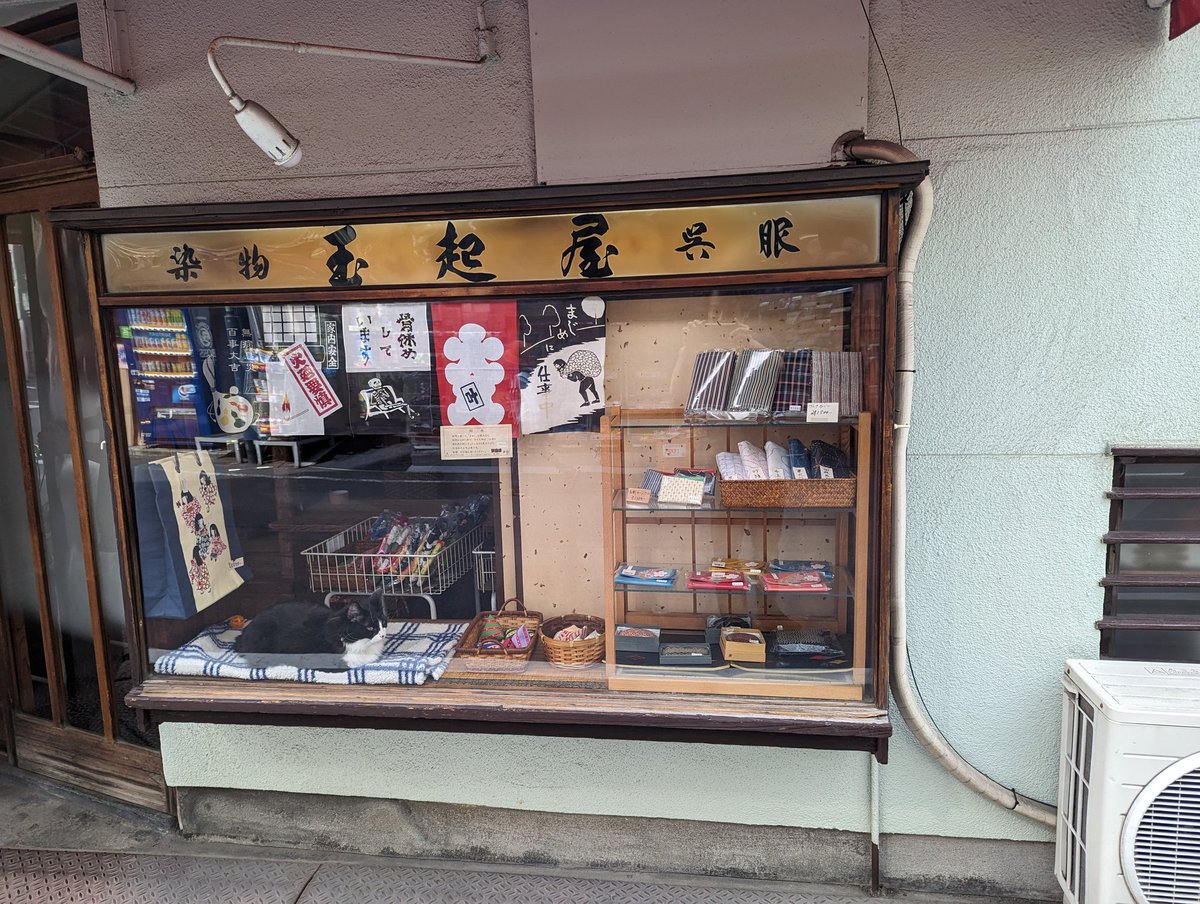 chokudai(高橋 直大)@AtCoder社長(@chokudai) - Twilog