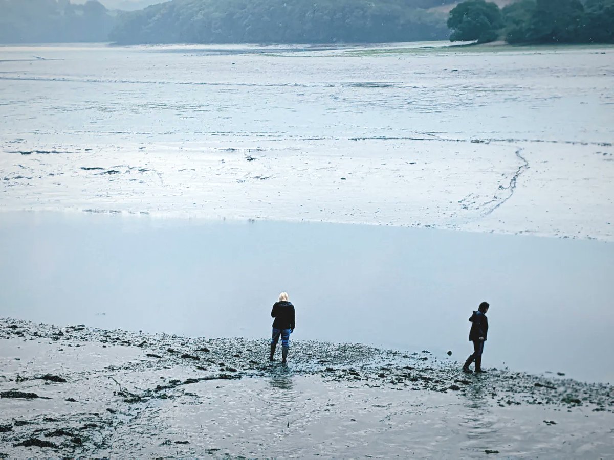 watershed_investigations's Threads – Thread Reader App