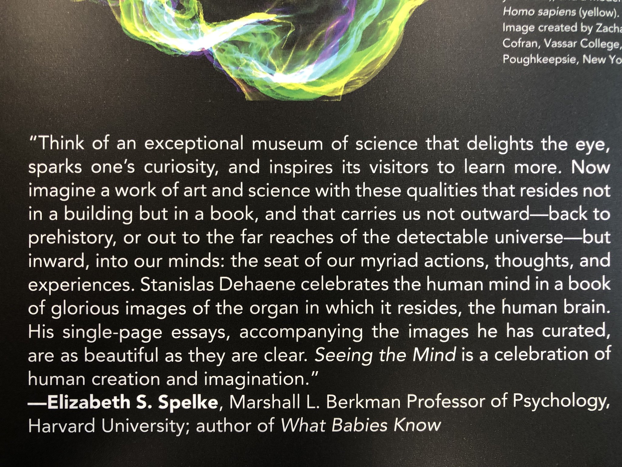 Elizabeth Spelke Quotes Of Great Apes And Magpies: Initiations Into