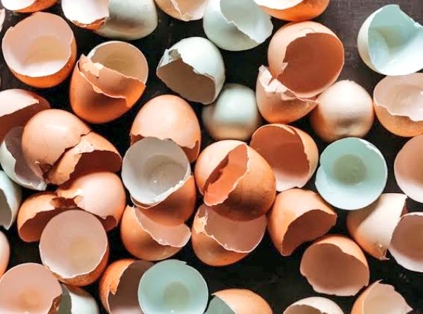 POTENT SPIRITUAL BENEFITS OF EGGSHELLS 🥚🥚🥚 Eggs in spirituality are ...