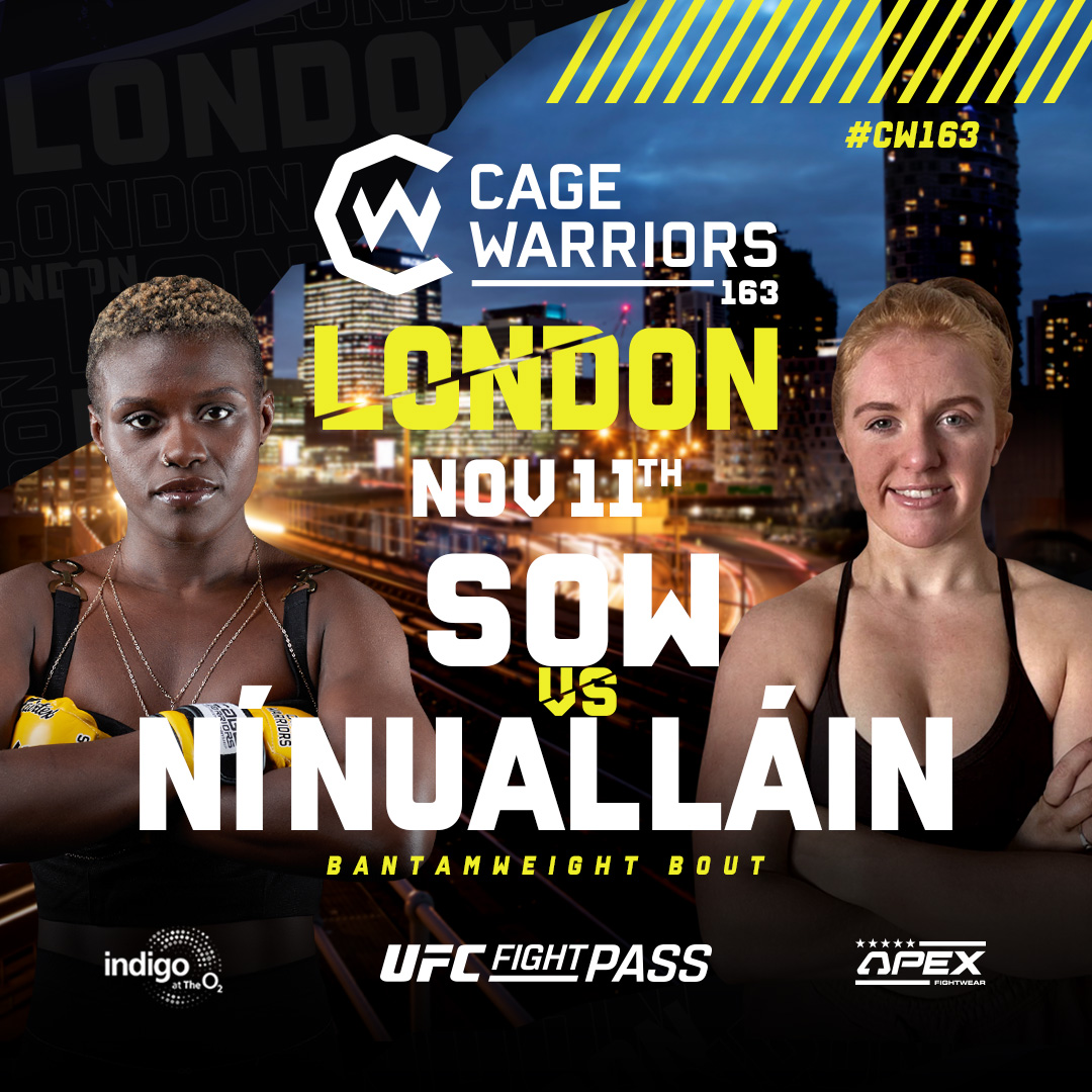 女子MMA総合スレ 2 | みんなの掲示板 Talk (トーク)