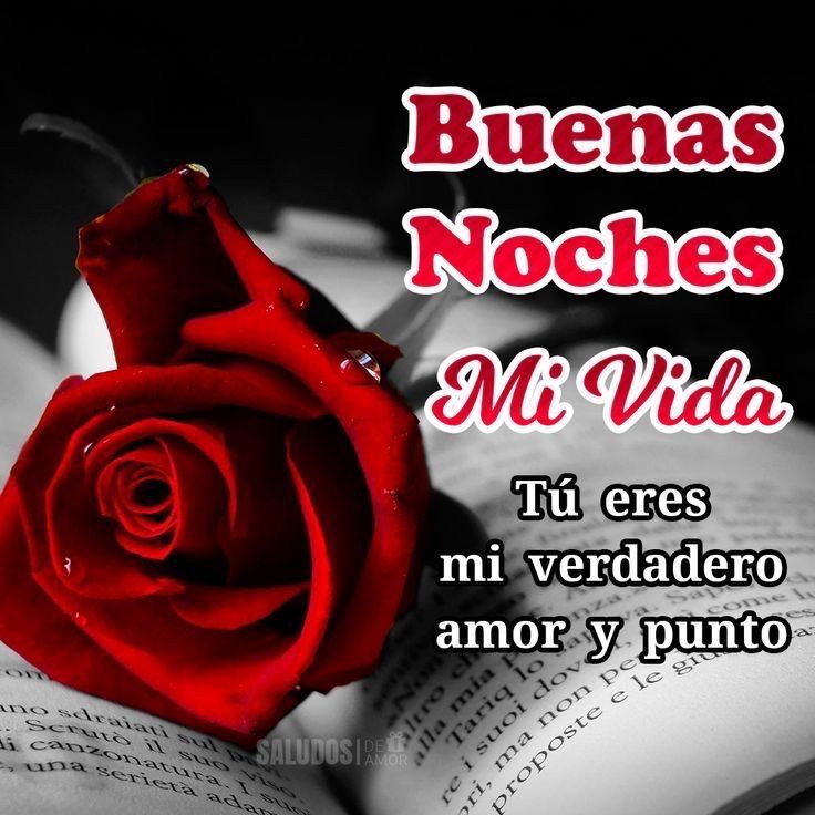 Unico Buenas Noches Mi Amor 🙏🙏🙏creadoresdelmañana