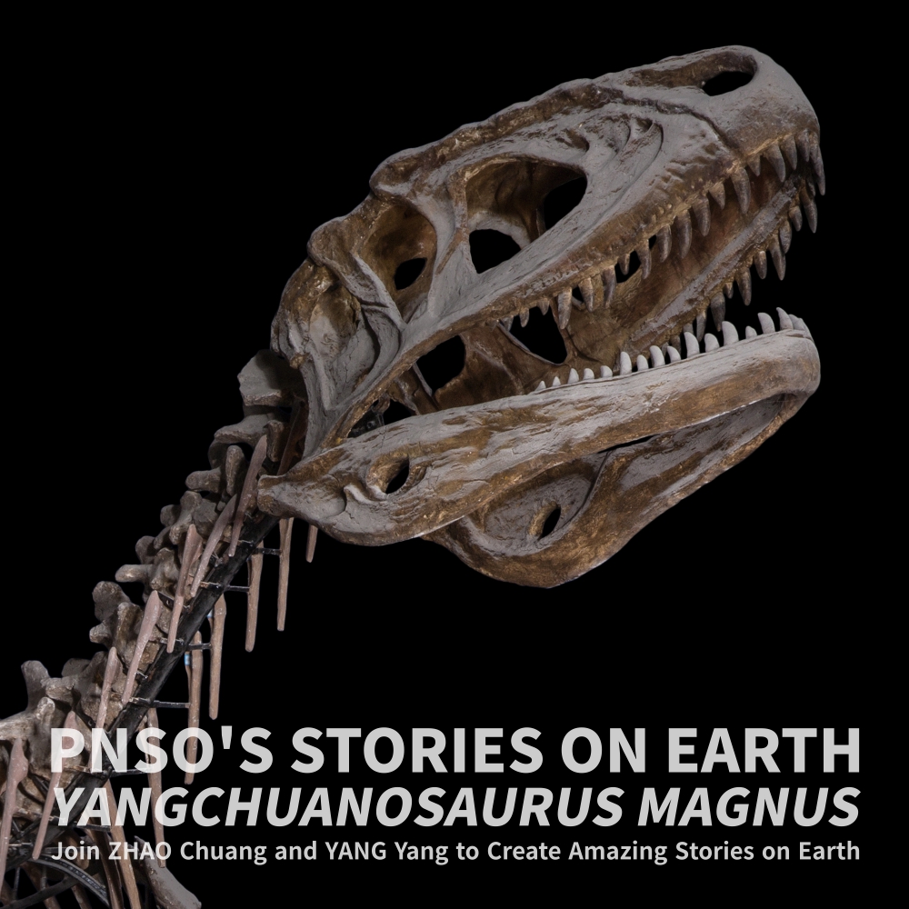 Yangchuanosaurus Magnus
