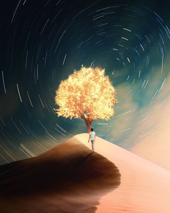 The Paradox of Trusting Chaos Losing control goes against human nature ...