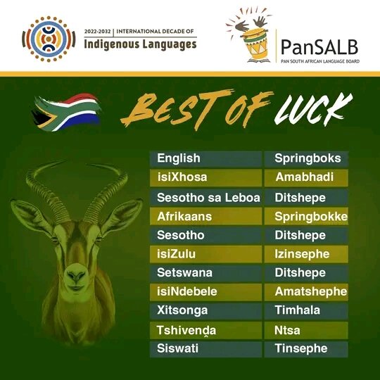 Springbok Animal In Xhosa