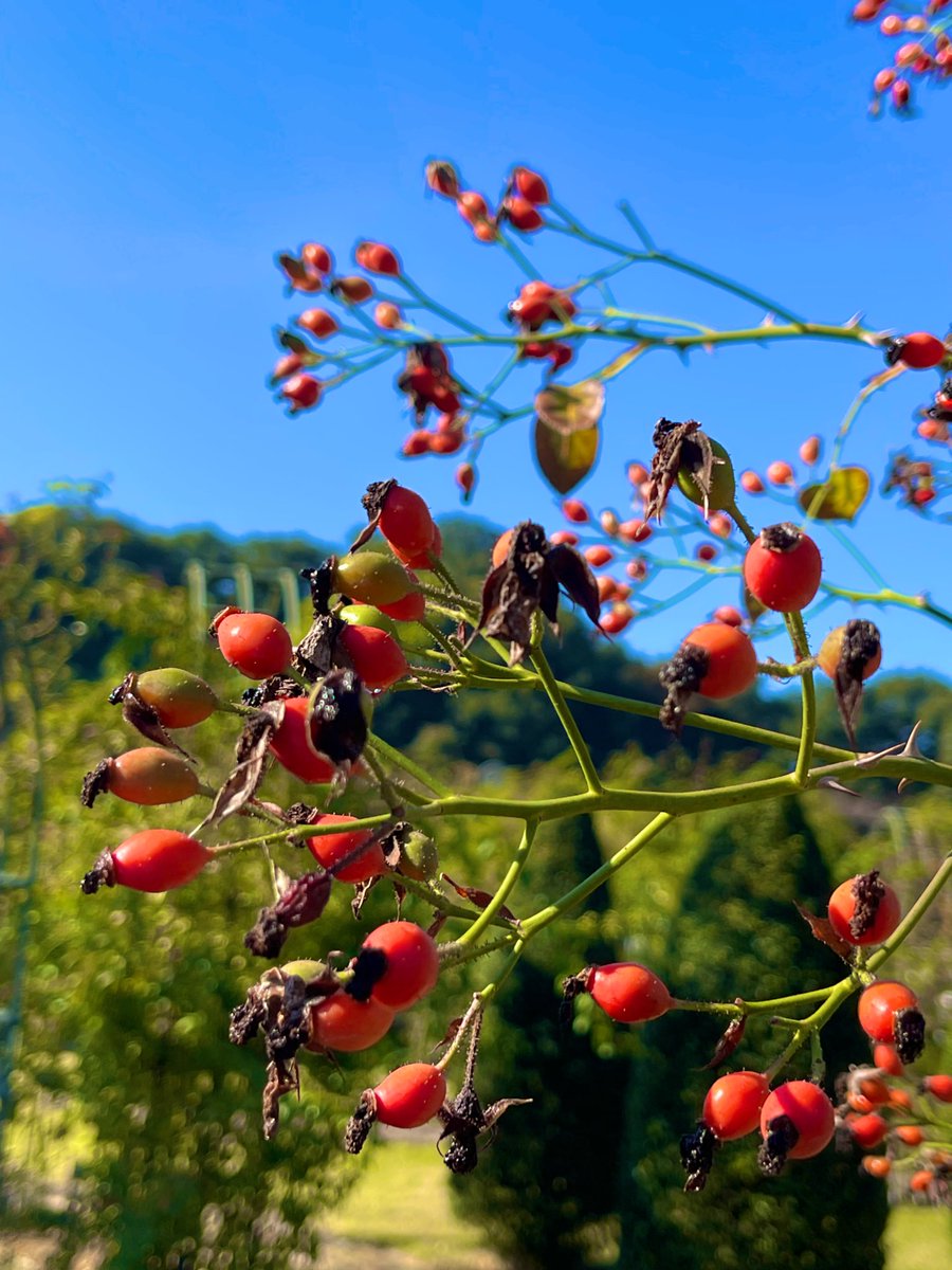 ヒューイット@DQX&FF14(@Hewitt_DQX) - Twilog