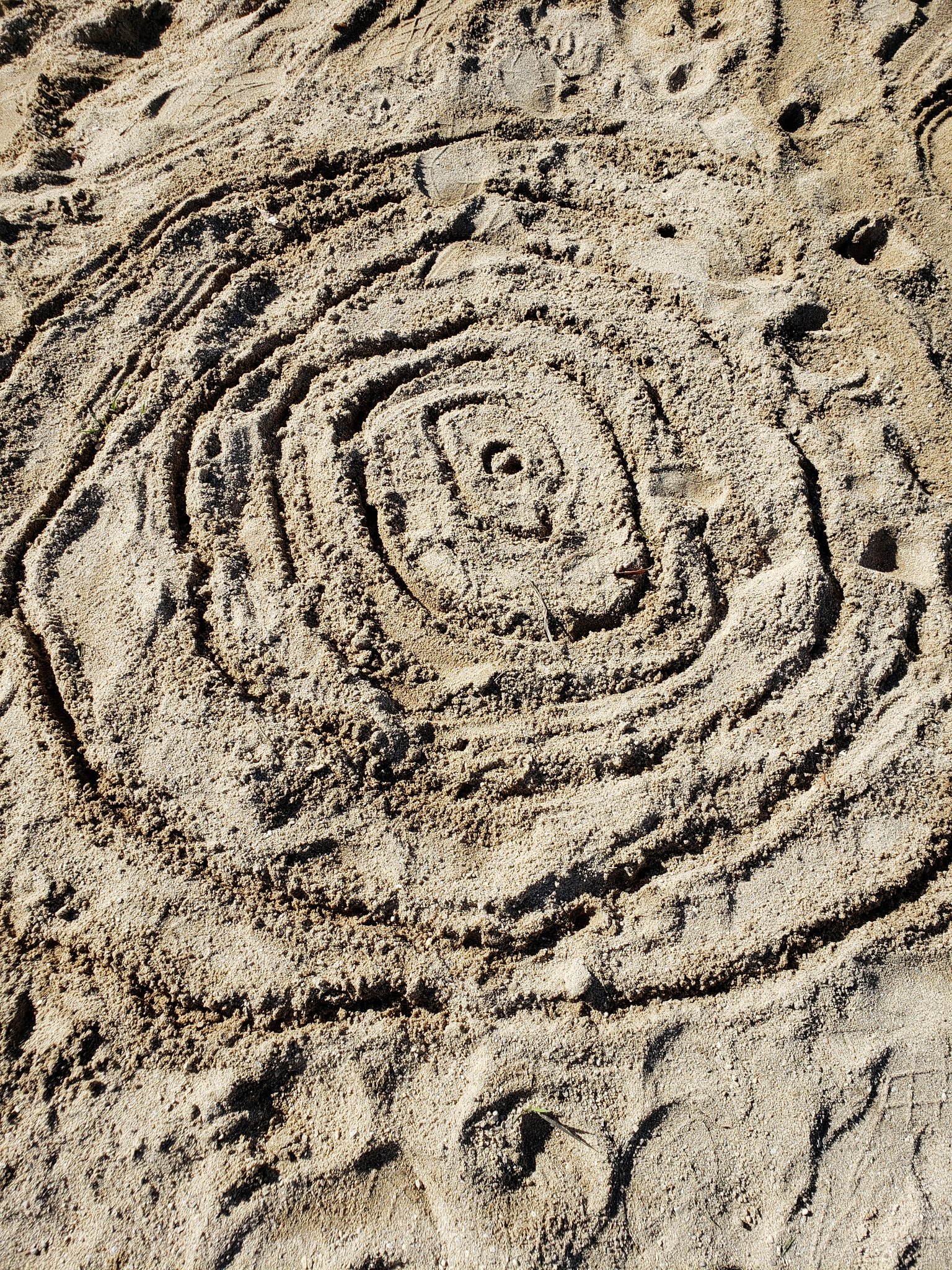 Concentric Circles In Nature