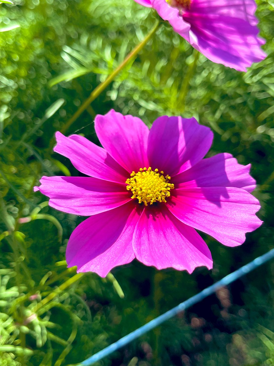 ヒューイット@DQX&FF14(@Hewitt_DQX) - Twilog