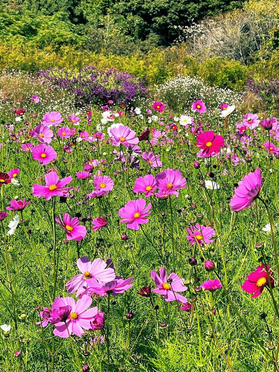 ヒューイット@DQX&FF14(@Hewitt_DQX) - Twilog