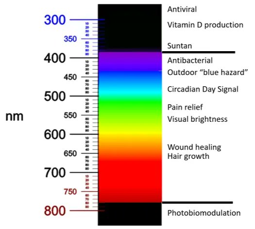Circadian Health The Impact of Light on your Vitality. --------- Thread ...
