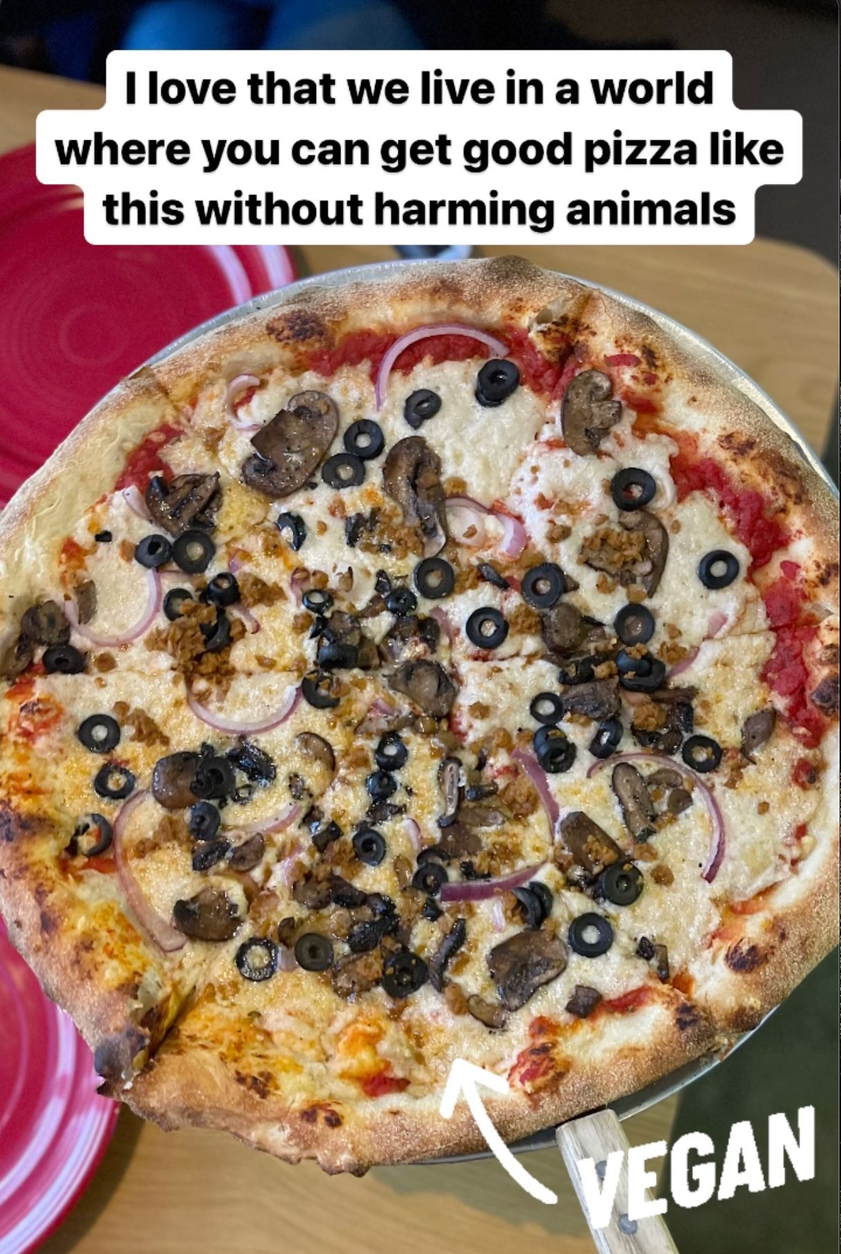 Vegan Pizza Memes
