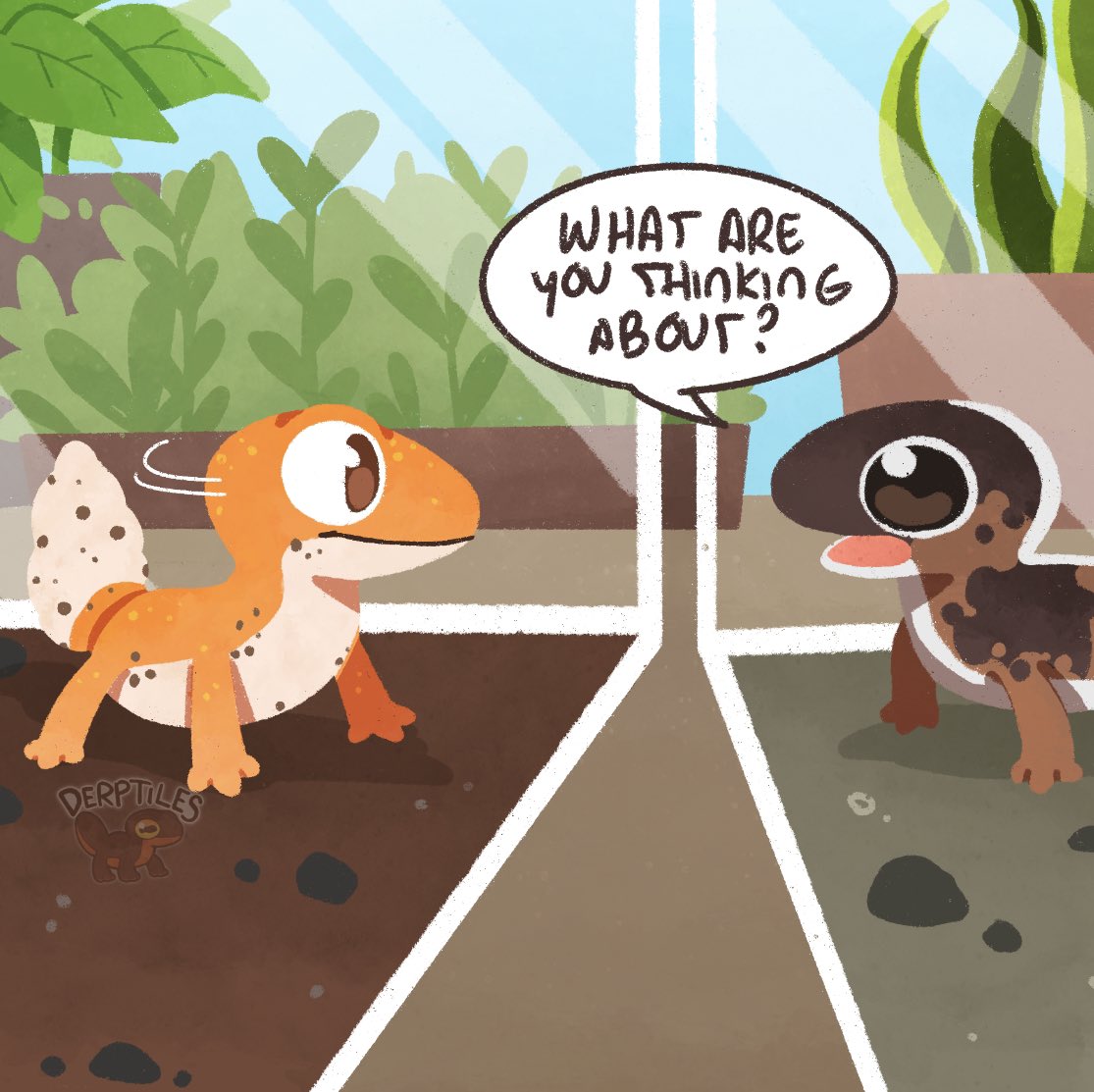 Leopard Gecko Quotes Leopard Gecko Mating SuperStock