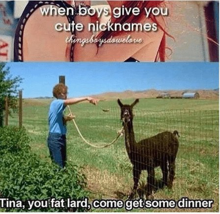 Lard Memes Praise The Lard (Praise The Lard Humor Tan Funny Pig Prints