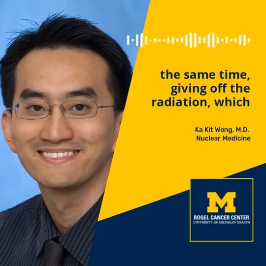 Kit Wong's Instagram, Twitter & Facebook on IDCrawl