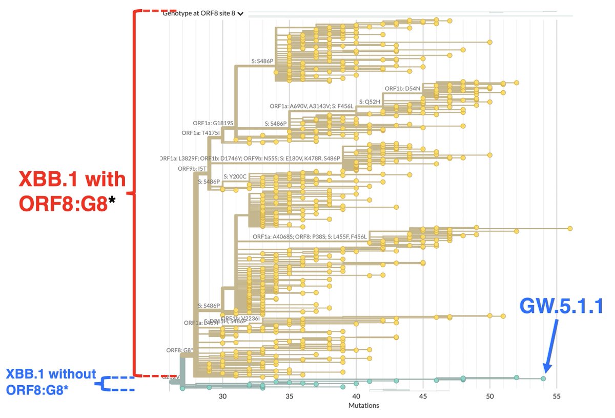 Thread by @LongDesertTrain on Thread Reader App – Thread Reader App