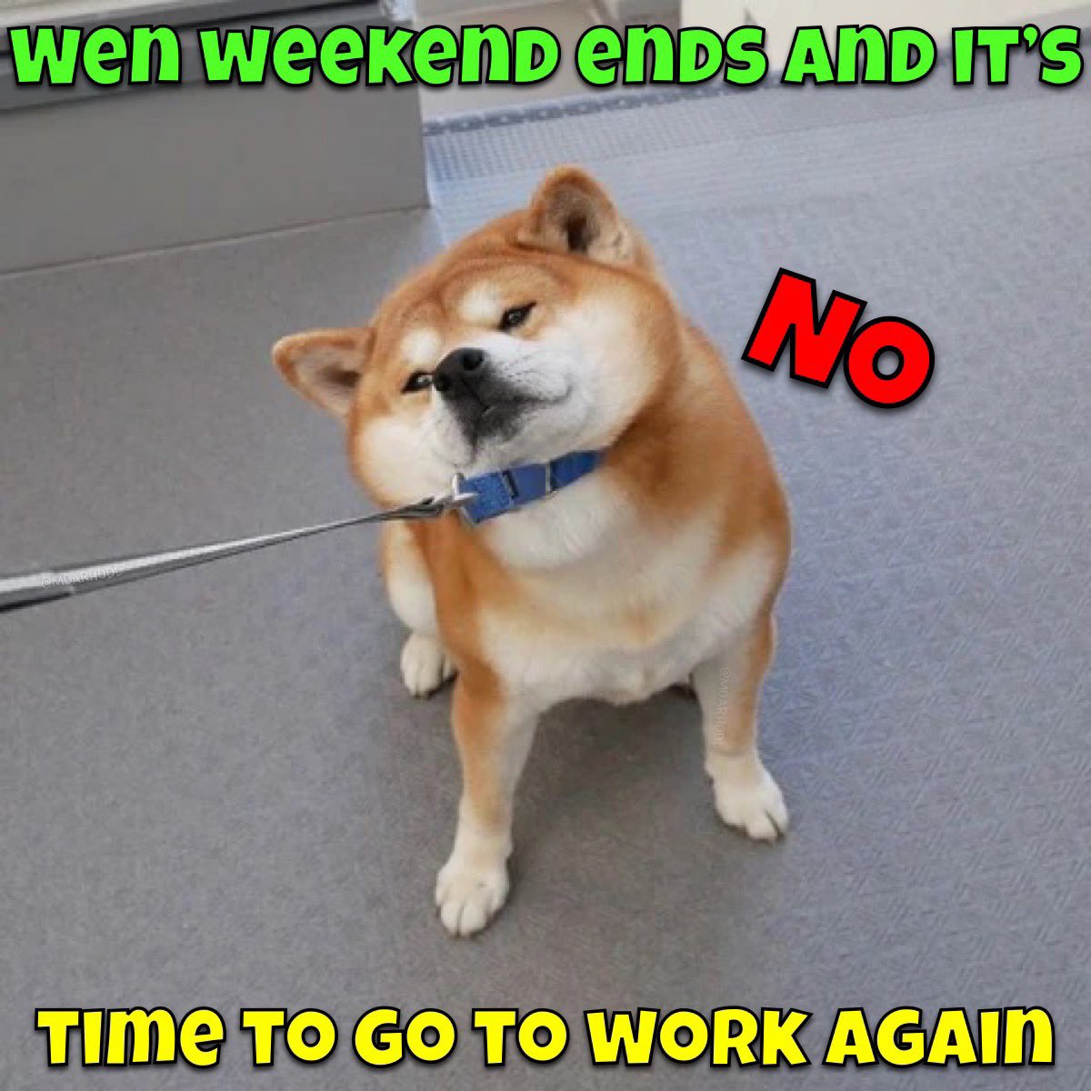Work Doge Meme Federal Workers Launch A New Site To Share Inside
