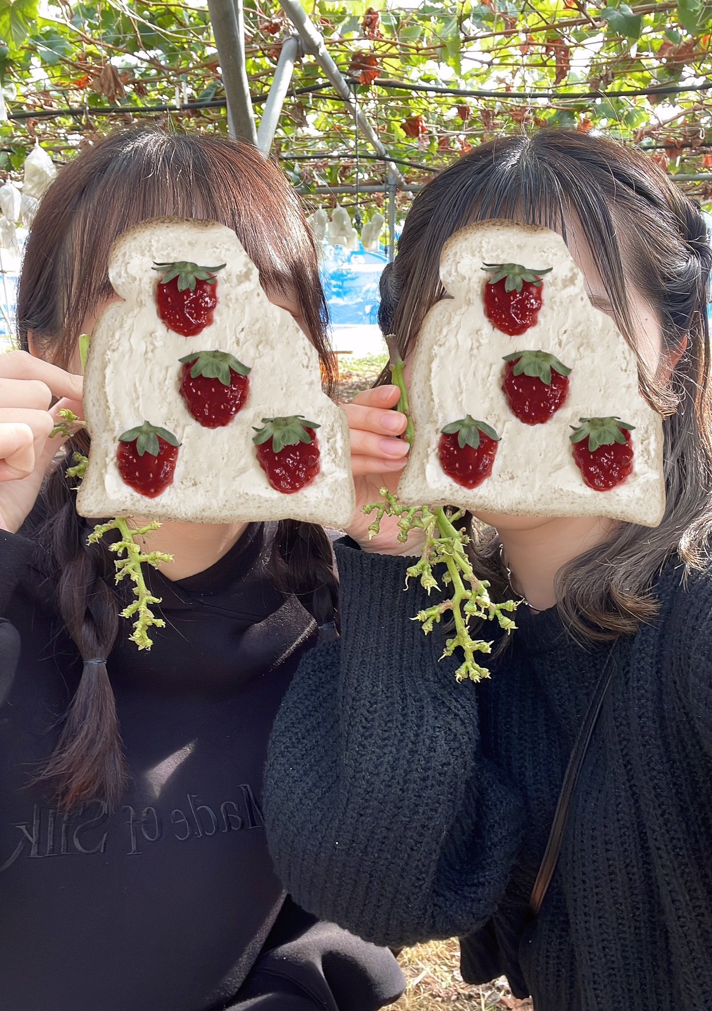 めいちゃん🐑 (@kinumee_) / X めいちゃん🐑 (@kinumee_) / X