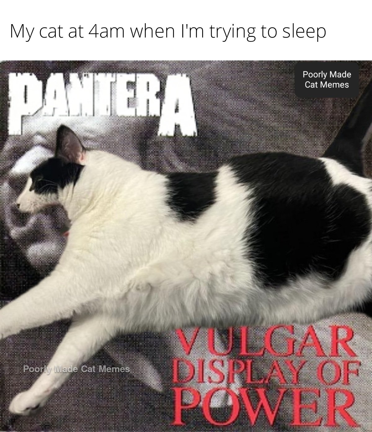 Pantera Memes Grimmjow Motivational By Hunter Axe On DeviantArt