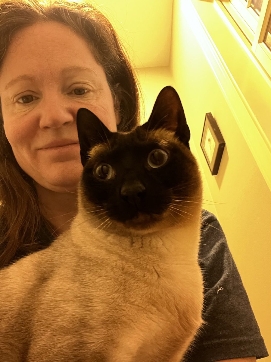 Carrie Weiss's Instagram, Twitter & Facebook on IDCrawl