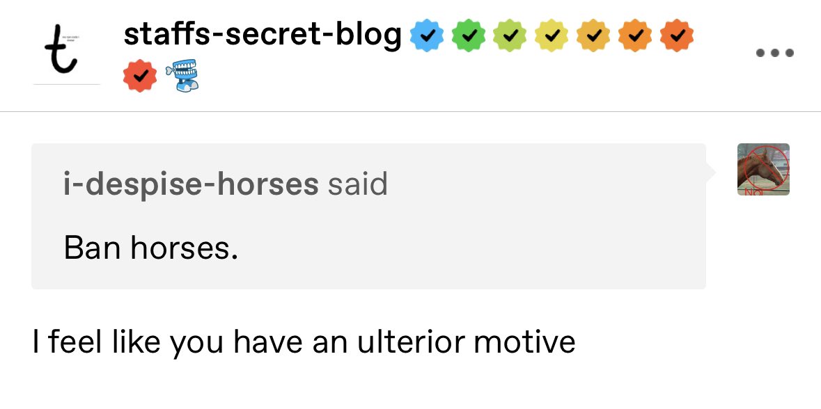 Funny Tumblr Text Post Blogs