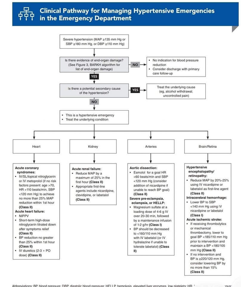 Hypertensive Emergencies: Guidelines and Best-Practice Recommendations ...