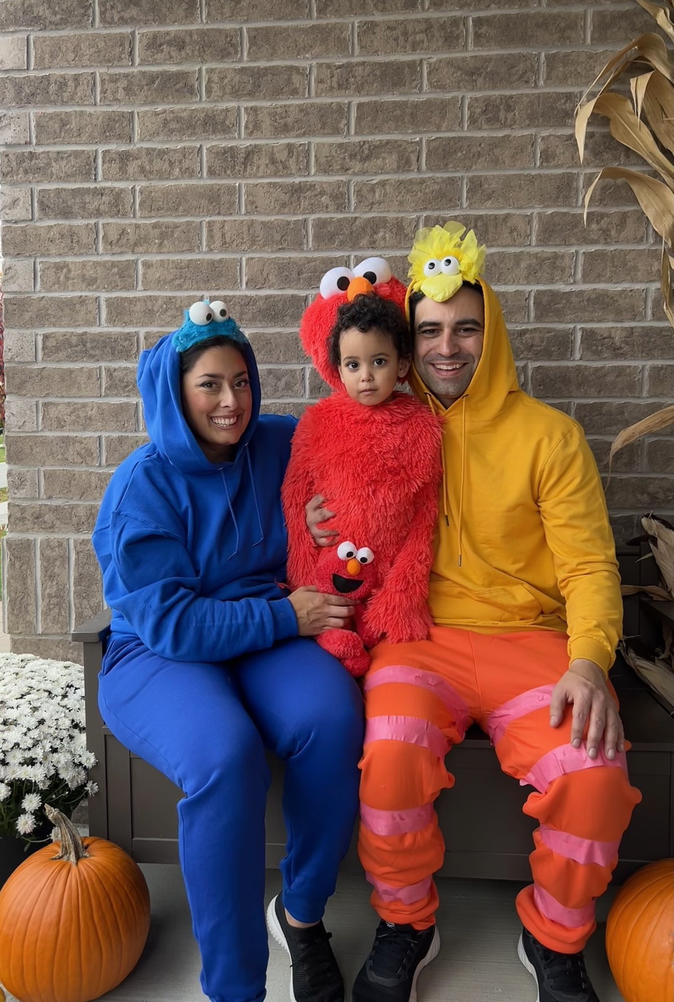 Funny Cookie Monster Family A Muppet Family Christmas But Only When