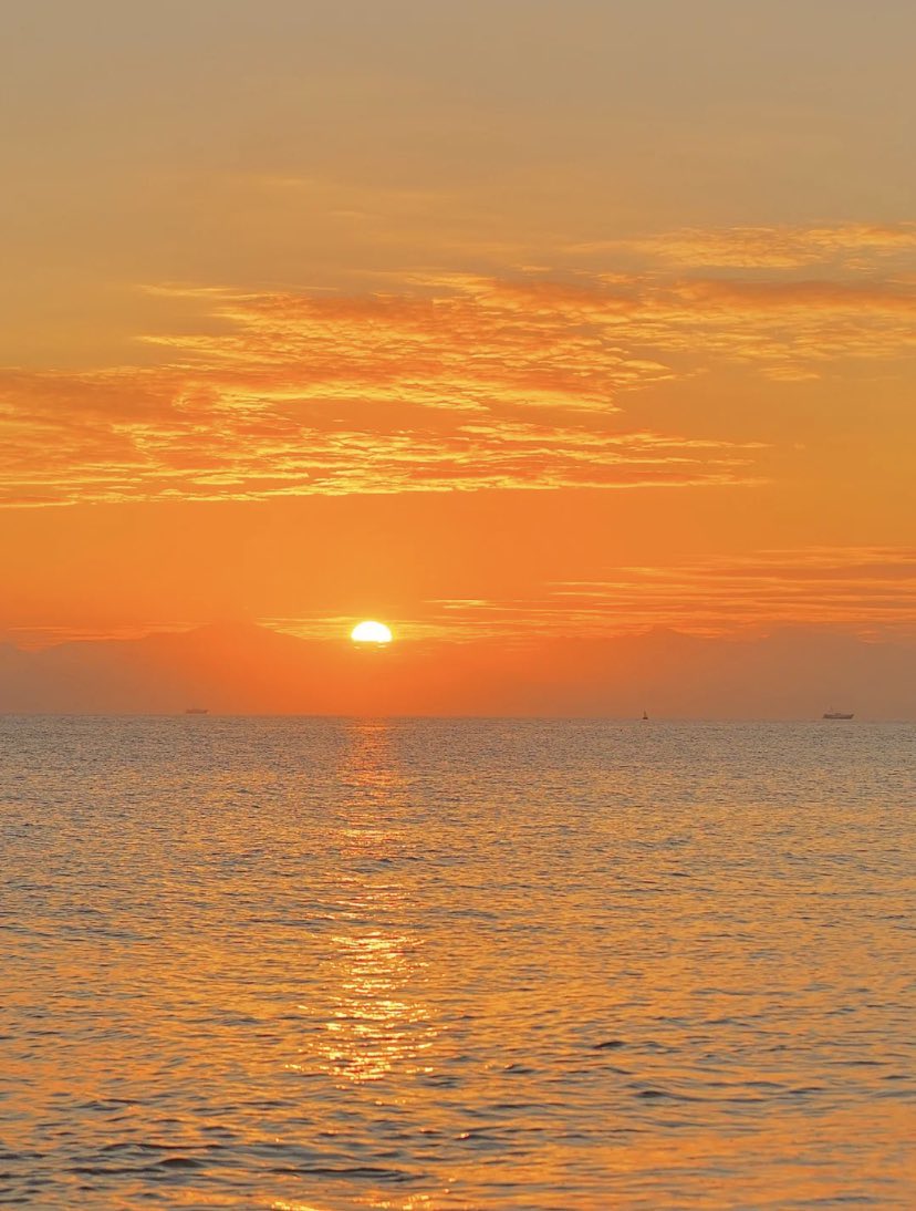 Vitalholis's Threads – Thread Reader App