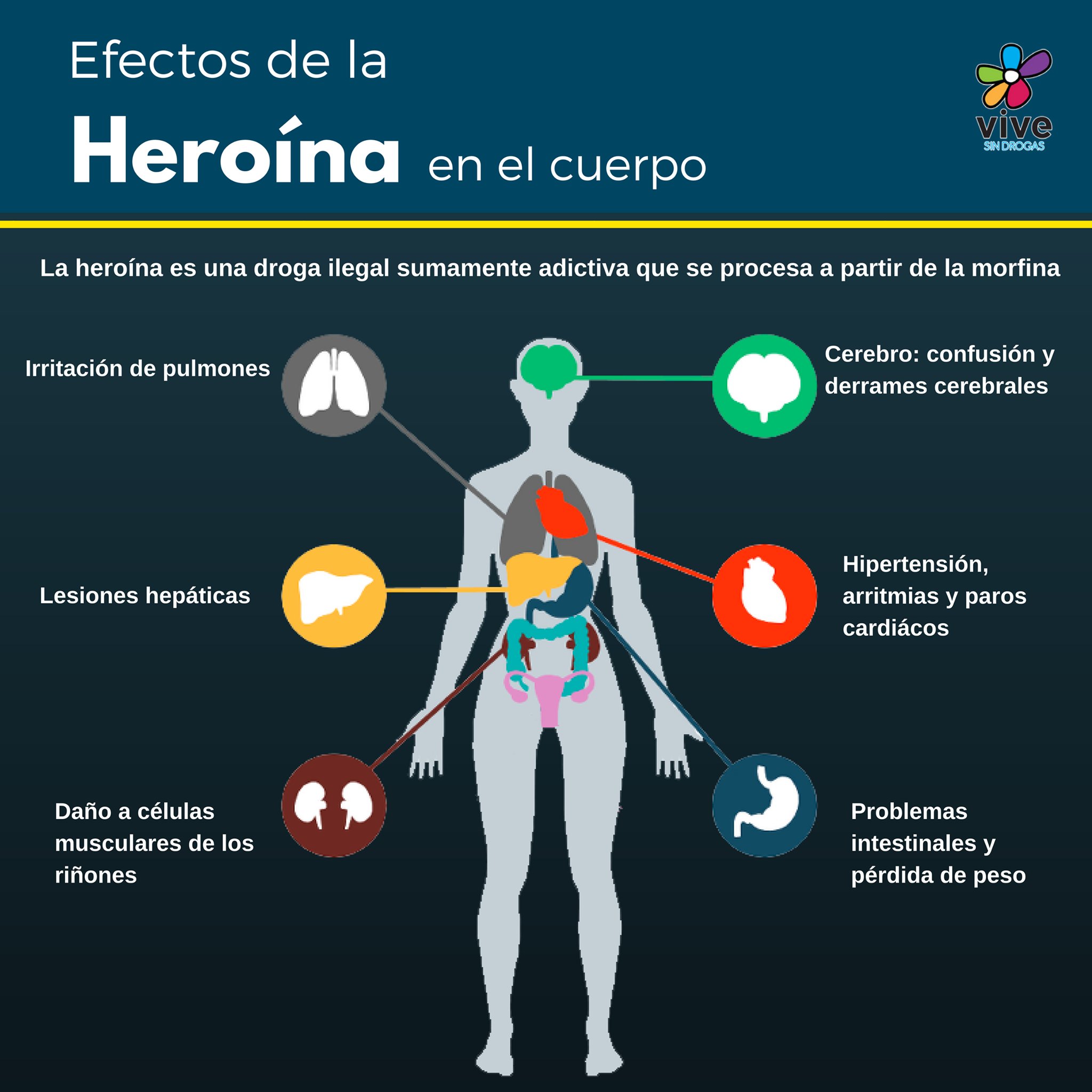 Efectos De Las Drogas