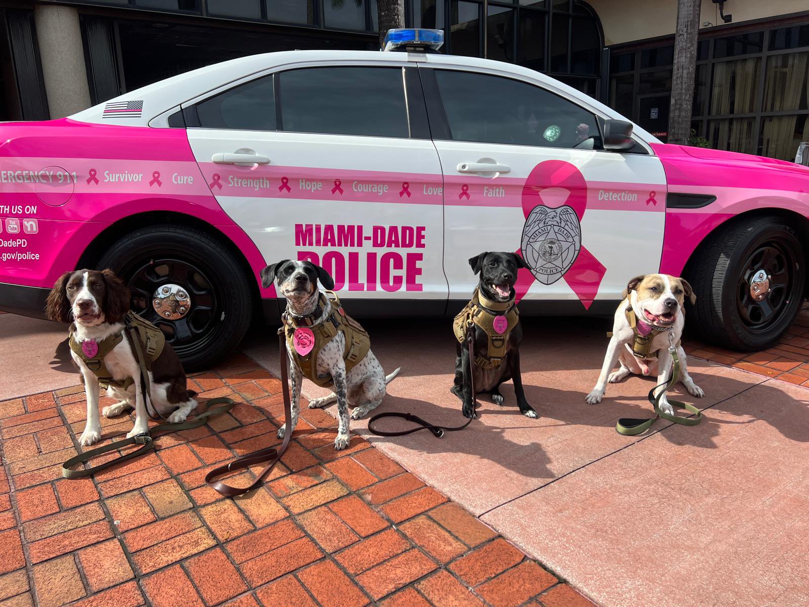 Miami Dade Police Department K9