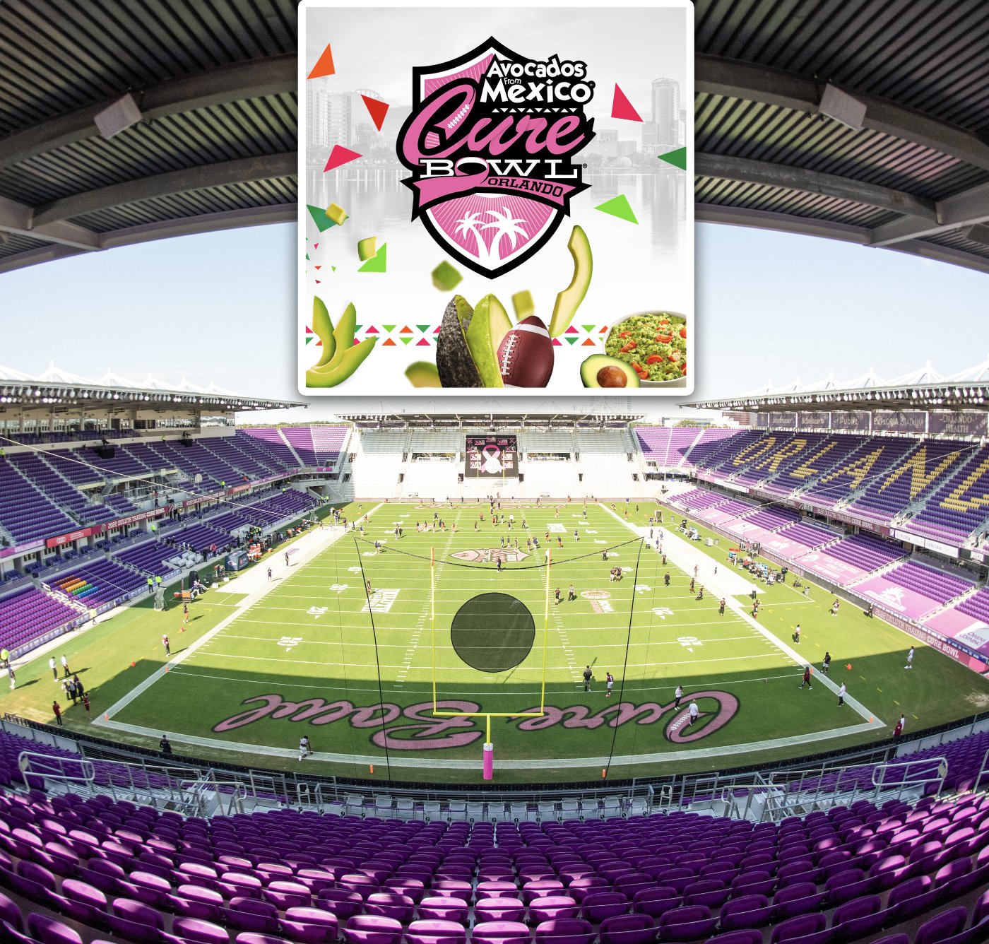Cure bowl store