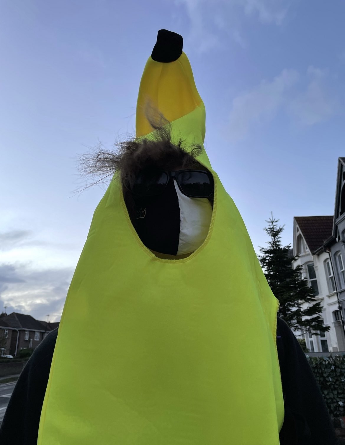 Onision Banana