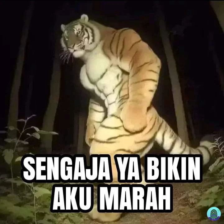 Memes Tampar Aku Bang 11 Chat Lucu Bujuk Pacar Ini Caranya Mind