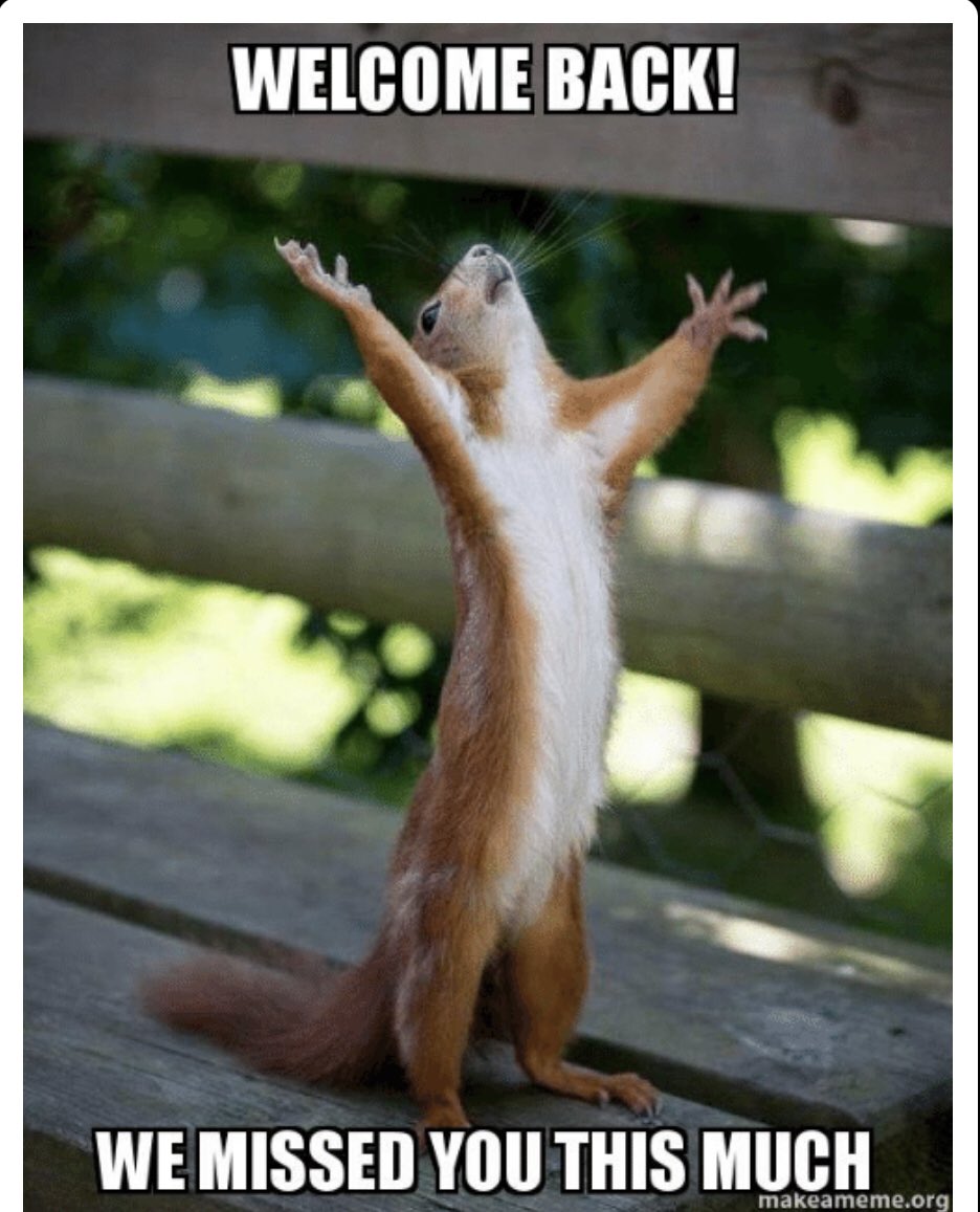 Welcome Back To Work Meme