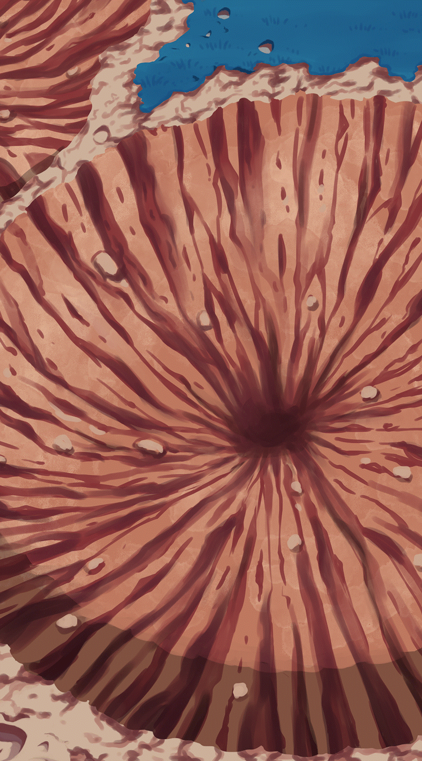 Dokkan Assets (DBZ Assets) #RIPGachaTalks on Twitter: "TEQ Kefla Transformation Caulifla & Kale ...