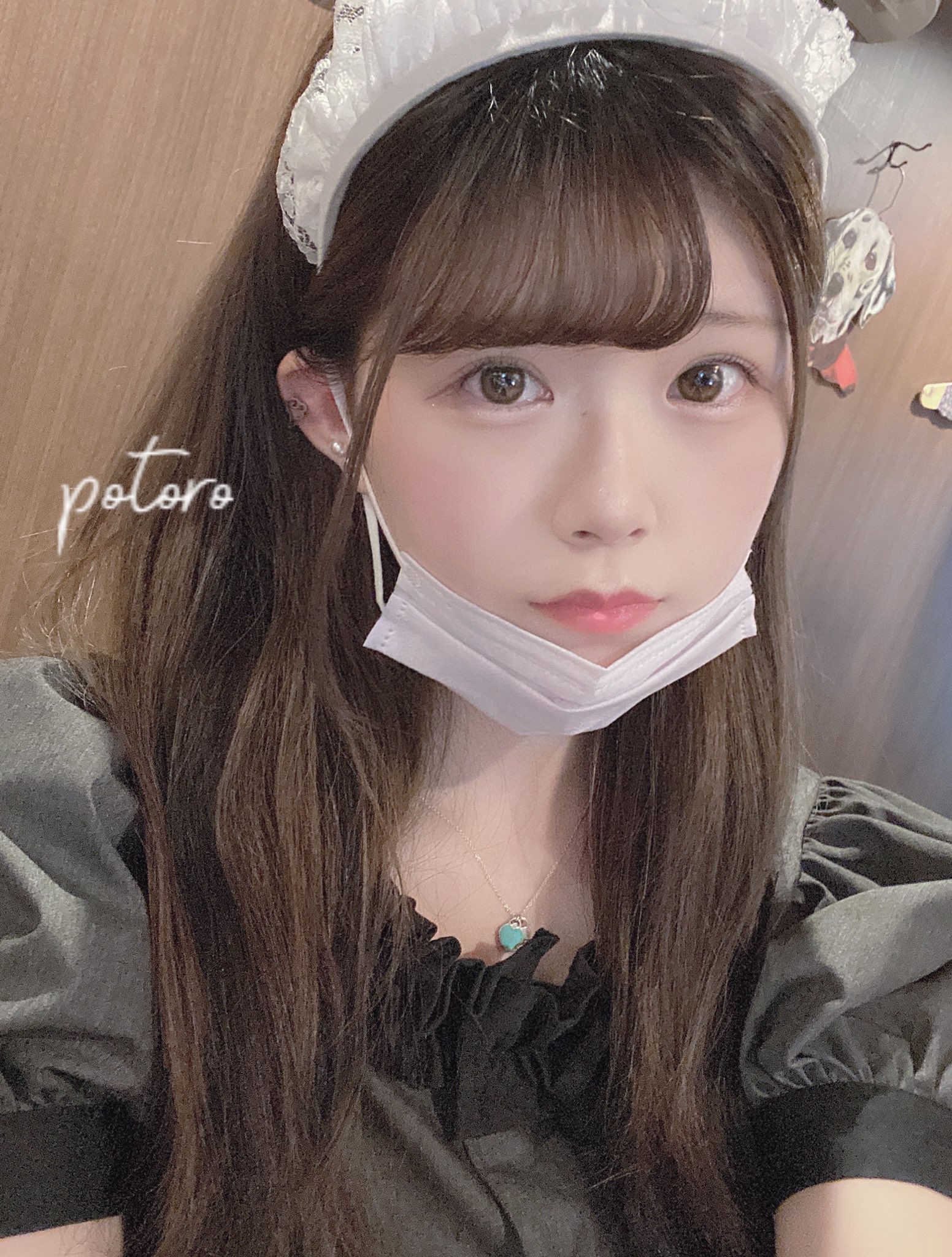 POTOROポトロ ハイパーSOD - その他