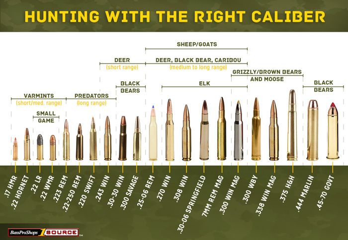 Rifle Ammunition Sizes Comparison Chart