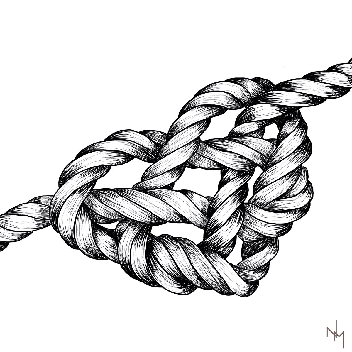 Knot Drawing