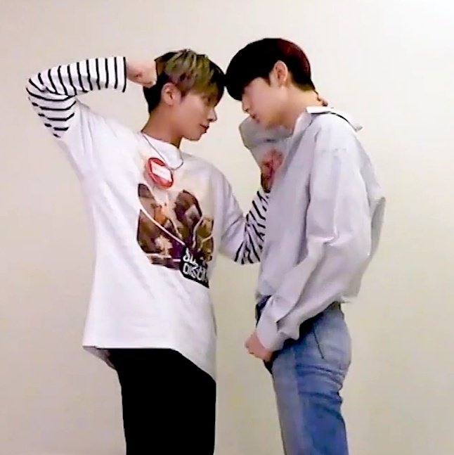 soobin pics on Twitter: "lil cats https://t.co/5jED1UwRt5" / Twitter