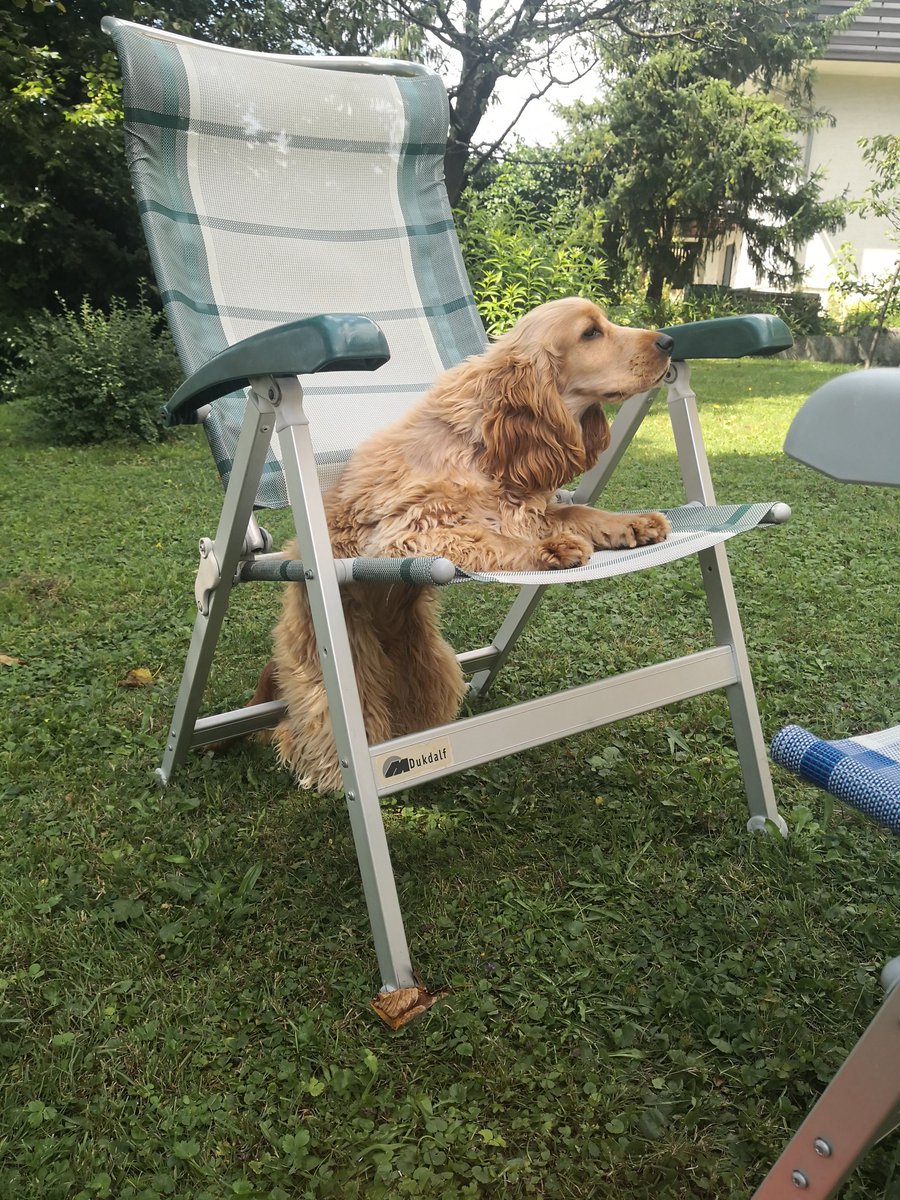 Mojca Žumer (@MojcaZumer) | Twitter