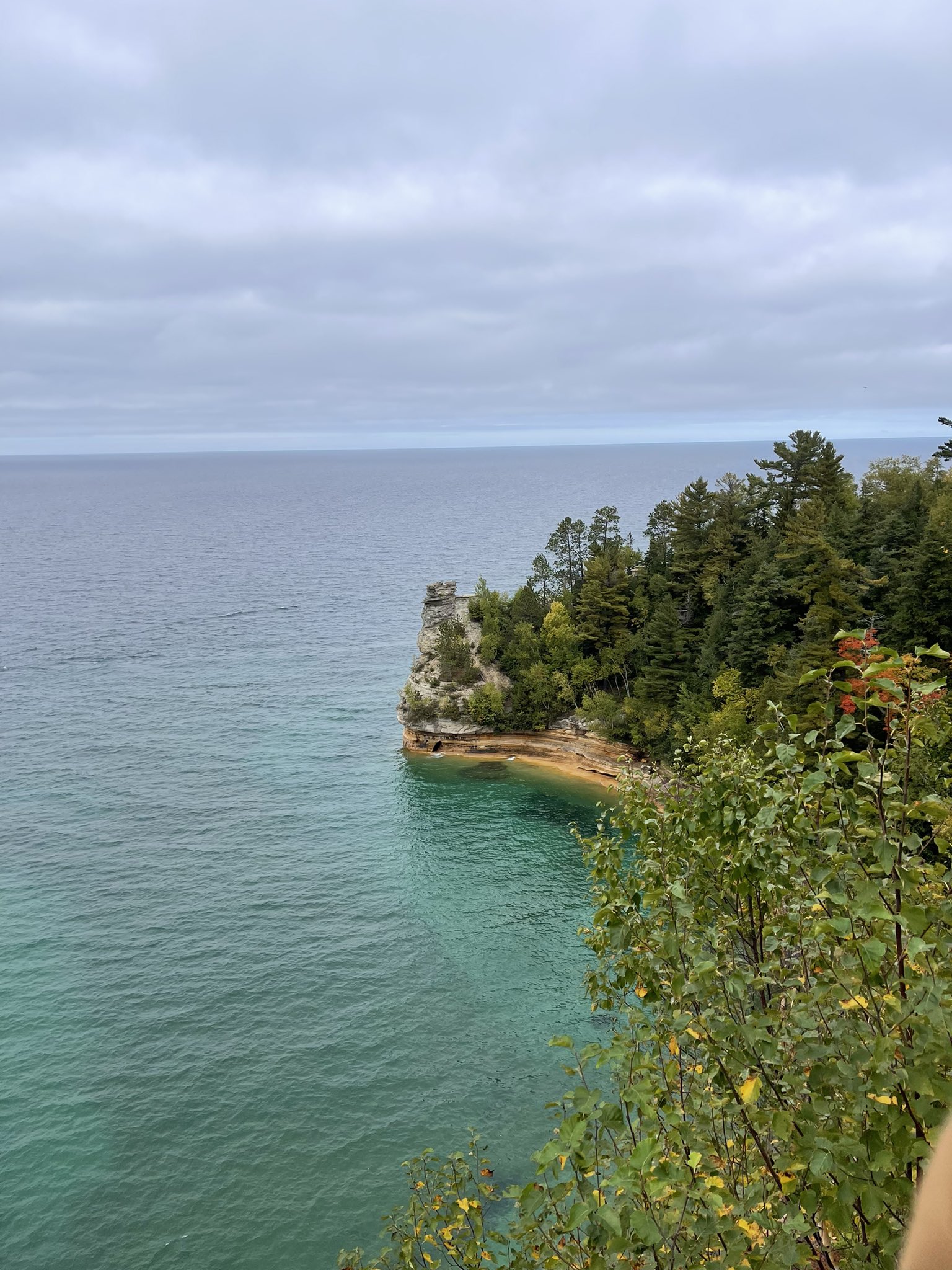 TW Pornstars - 3 pic. Zoë Ligon. Twitter. I am having the best day. 9:03 PM - 4 Oct 2021