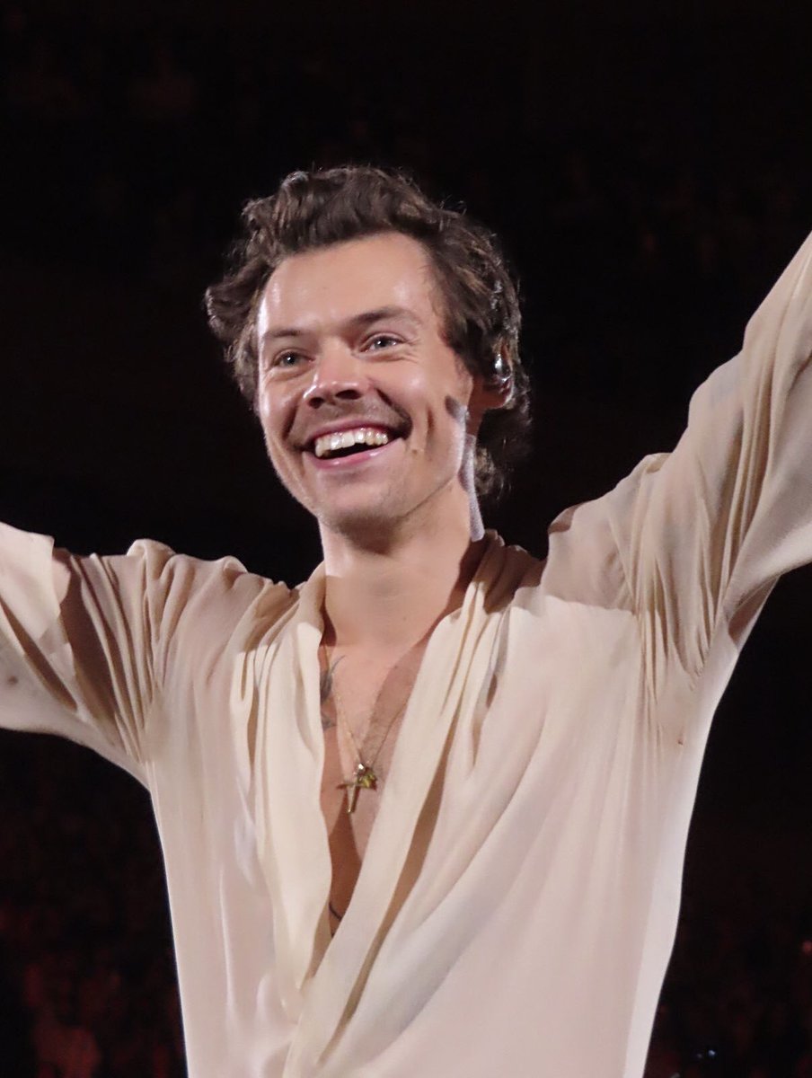 Harry Styles Happy Face