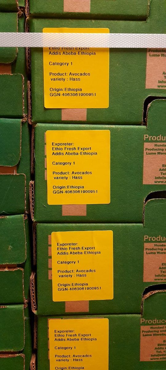 Mandefro Nigussie (@mandefro_niguss) | Twitter