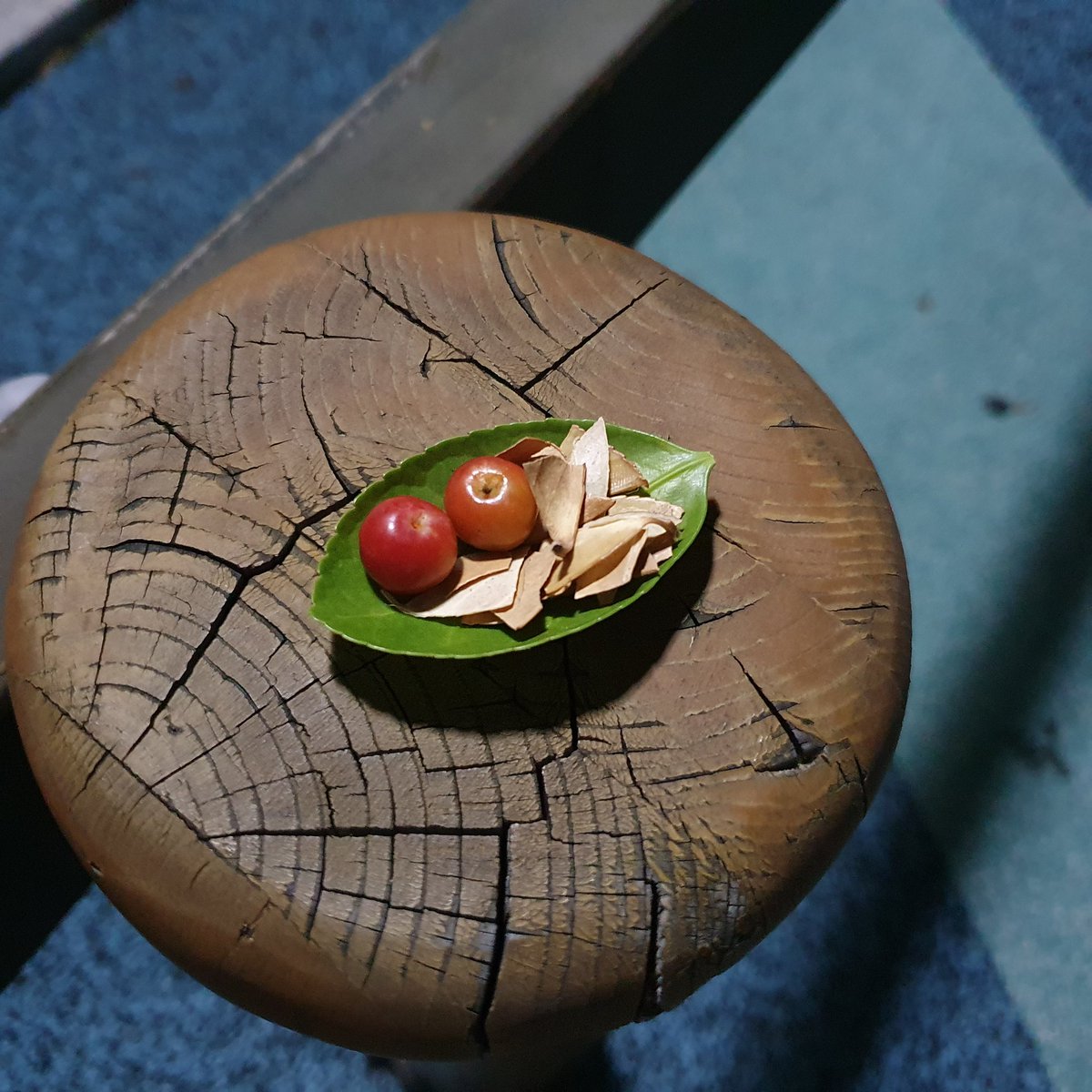 잼잼 (@jamjam_2022) | Twitter