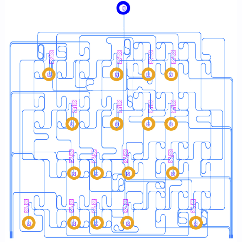 Optica Publishing Group on Twitter: "An Editors' Pick via #OPG_OpEx: Experimental realization of ...